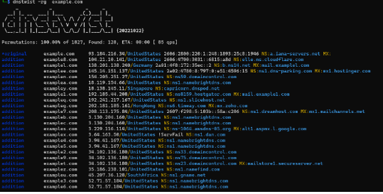 How to Detect Typosquatting using DNSTwist - HawkEye